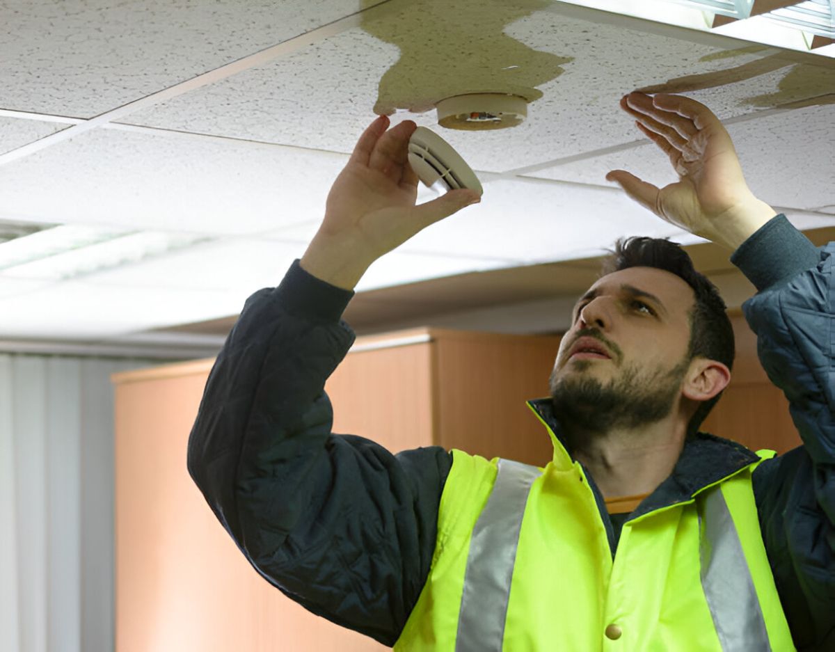 Understanding Fire Alarm Cause and Effect Testing - Landlord ...